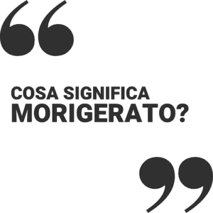 Morigerato: significato e sinonimi. - Cosa Significa?